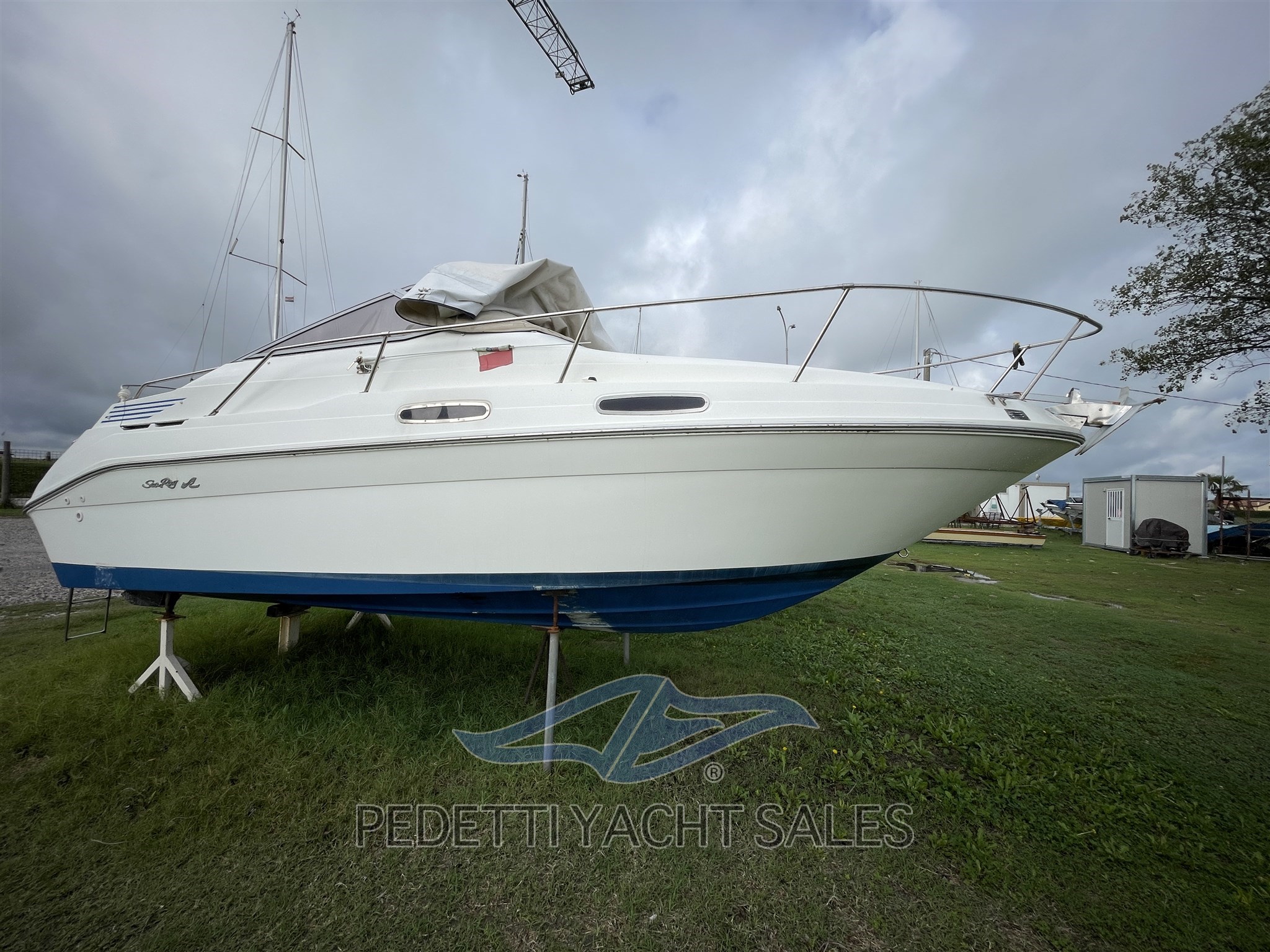 Sea ray 230 da used boat for sale, ad reference 48654 Pedetti yacht sales
